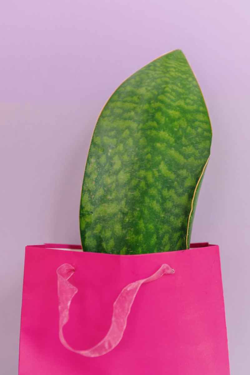 Bagging Decision Trees — Clearly Explained – All About AI-ML